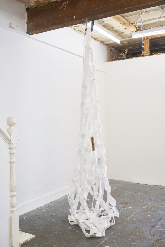 Lisa Radon at Jupiter Woods – Art Viewer