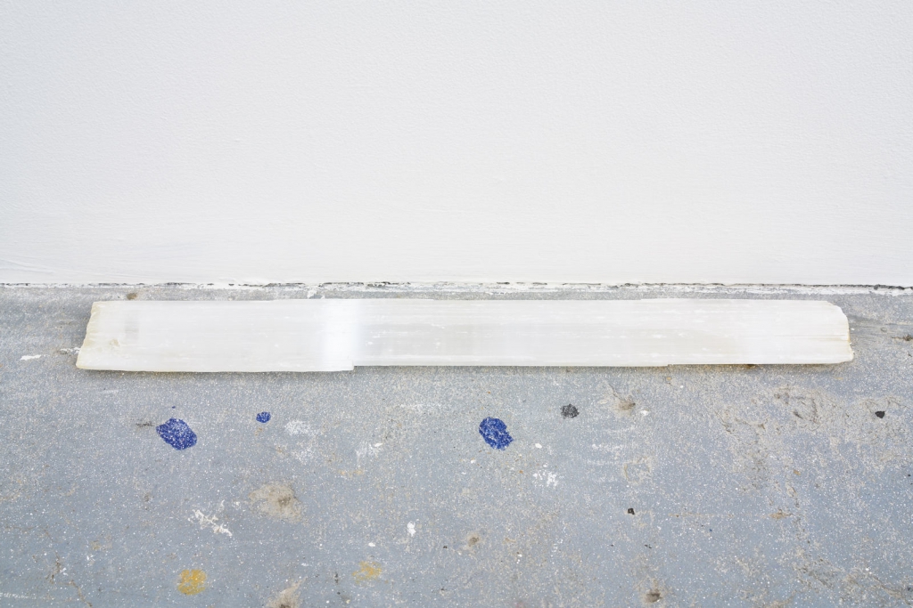 Lisa Radon at Jupiter Woods – Art Viewer