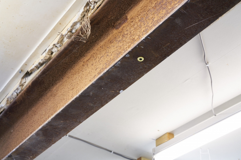 Lisa Radon at Jupiter Woods – Art Viewer