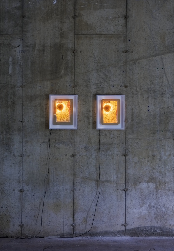Coco Young at Interstate Projects – Art Viewer