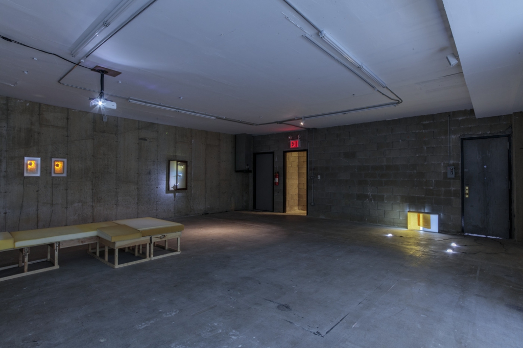 Coco Young at Interstate Projects – Art Viewer