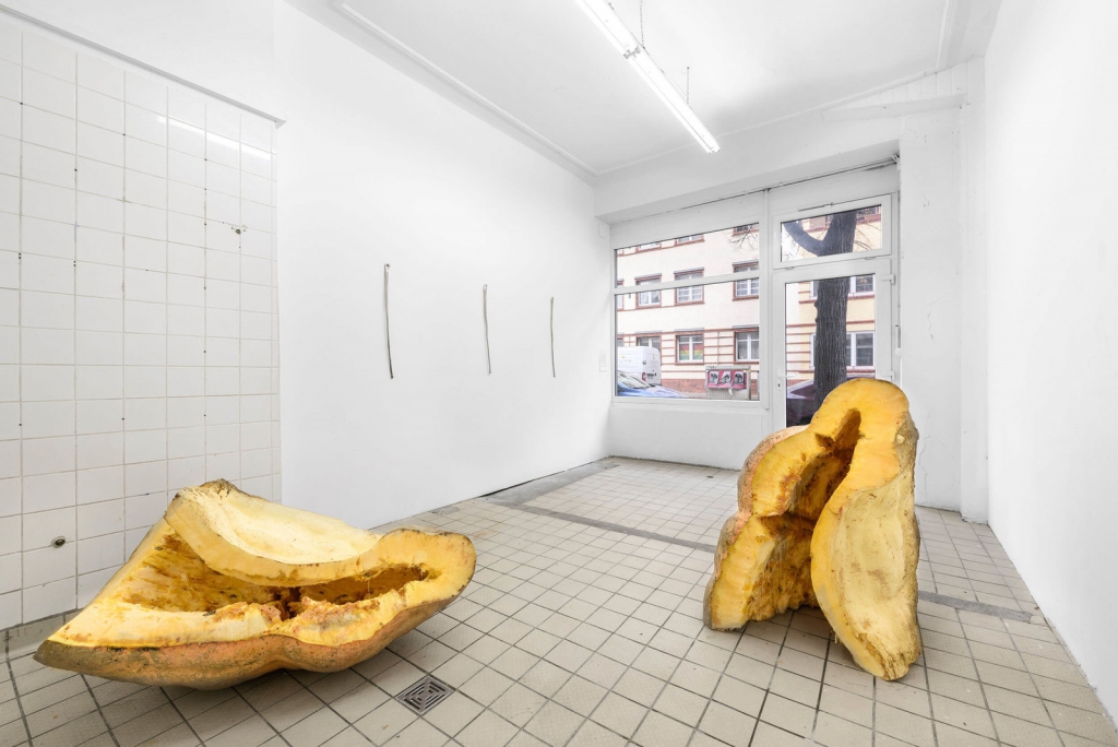 Namsal Siedlecki at Frankfurt am Main – Art Viewer