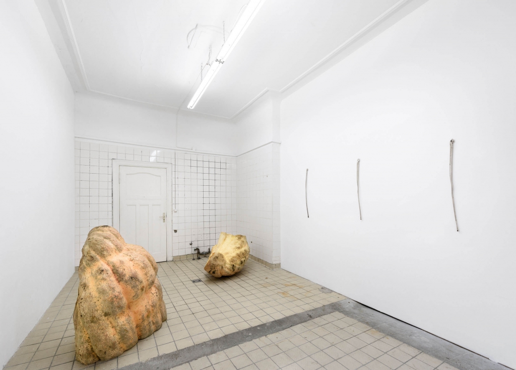 Namsal Siedlecki at Frankfurt am Main – Art Viewer