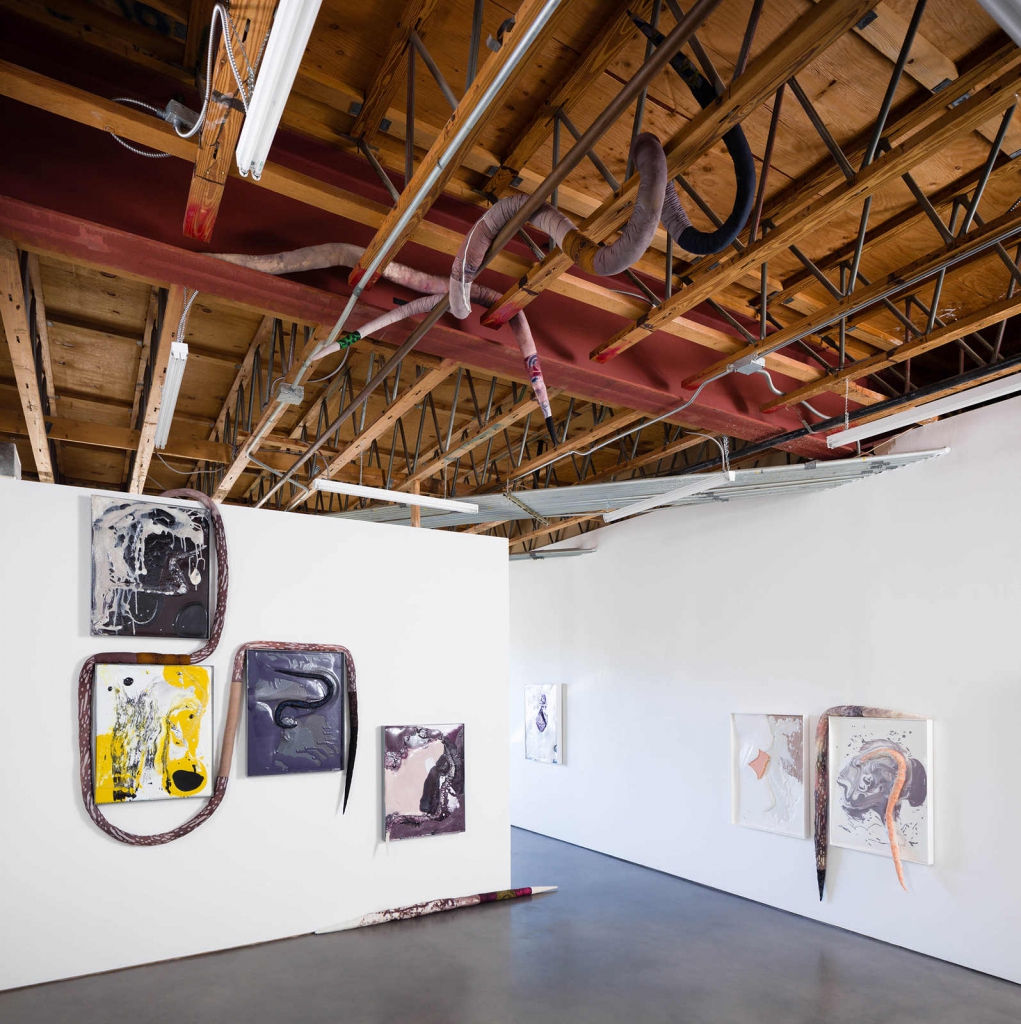 Phillip Zach at Freedman Fitzpatrick – Art Viewer