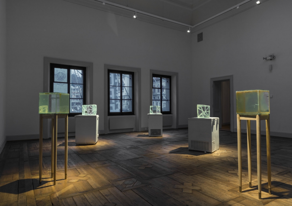 Meaning Can Only Grow out of Intimacy at Musée Arlaud, Les Urbaines ...