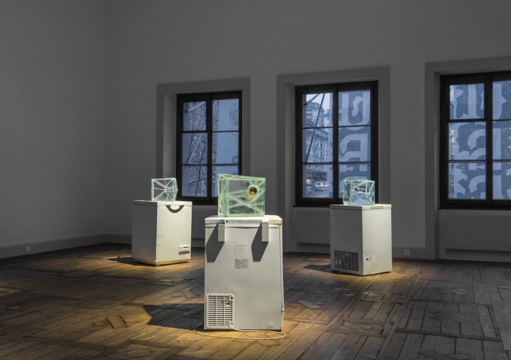 Meaning Can Only Grow out of Intimacy at Musée Arlaud, Les Urbaines ...