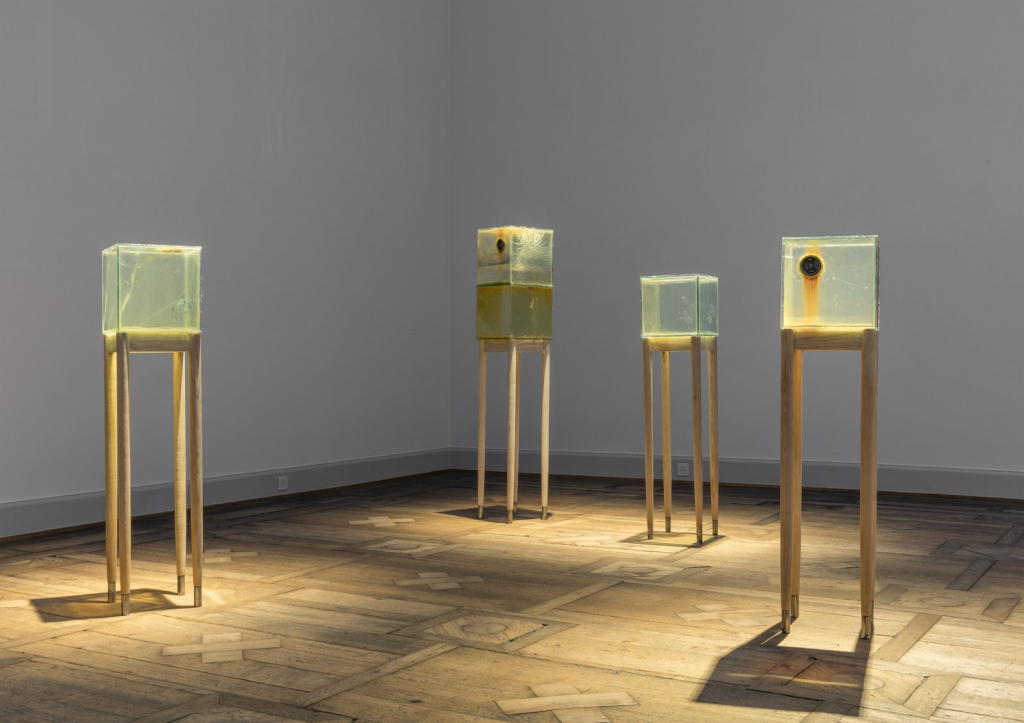 Meaning Can Only Grow out of Intimacy at Musée Arlaud, Les Urbaines ...