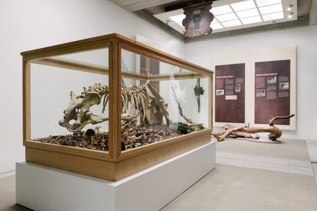 Mark Dion at Kunstmuseum St. Gallen – Art Viewer