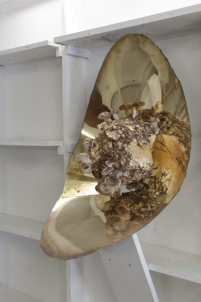 Martin Belou at After Howl’s Alimentation Générale – Art Viewer