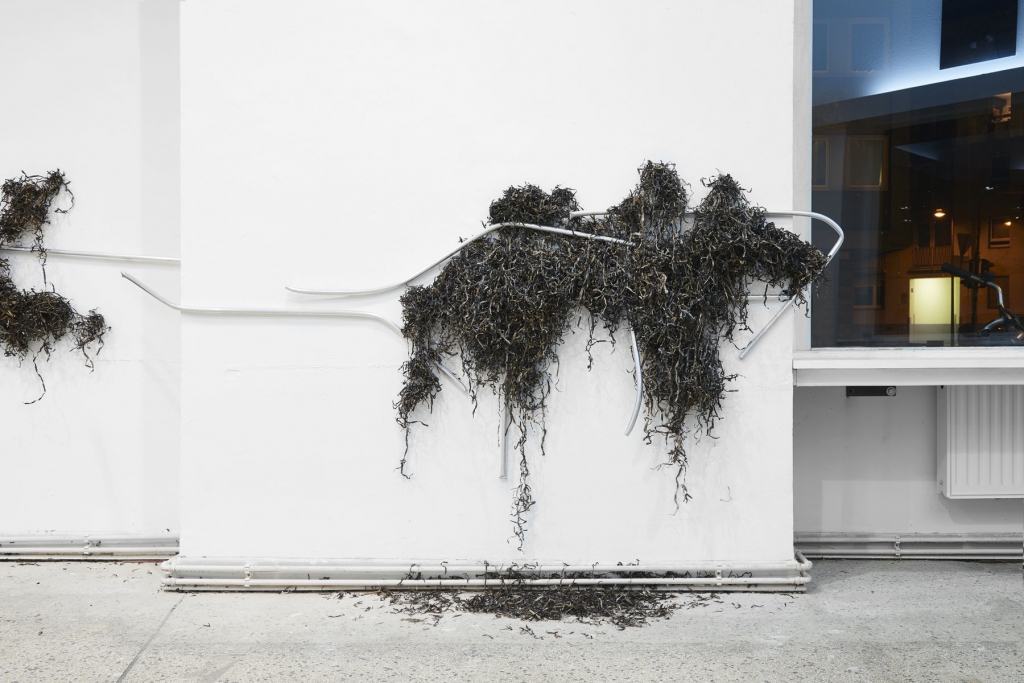 Violet Dennison at Jan Kaps – Art Viewer