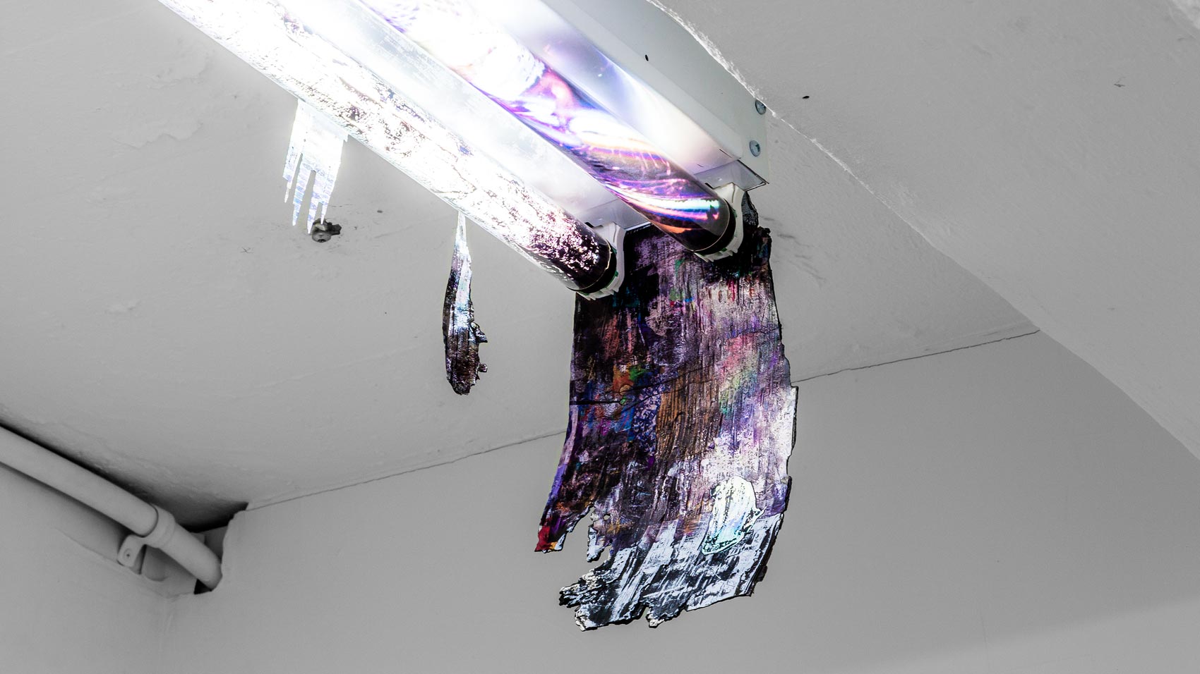 Sandy Plotnikoff at COOPER COLE – Art Viewer