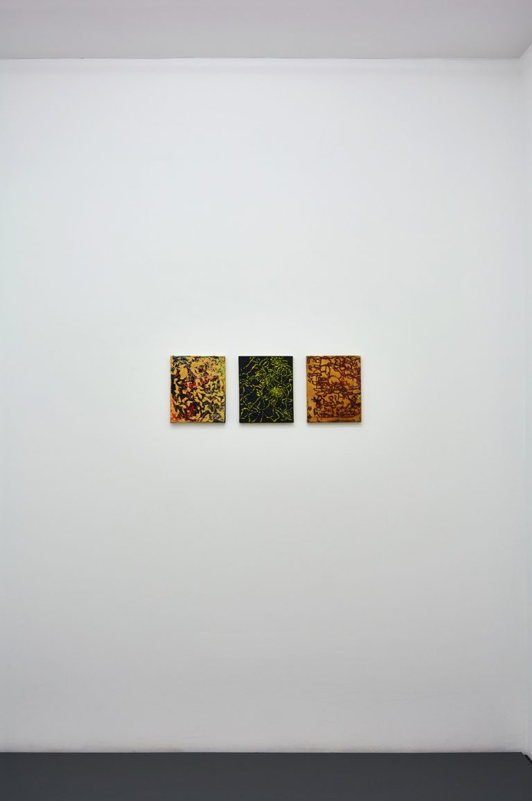 Anna Schachinger at Lulu – Art Viewer