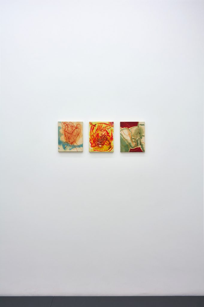 Anna Schachinger at Lulu – Art Viewer