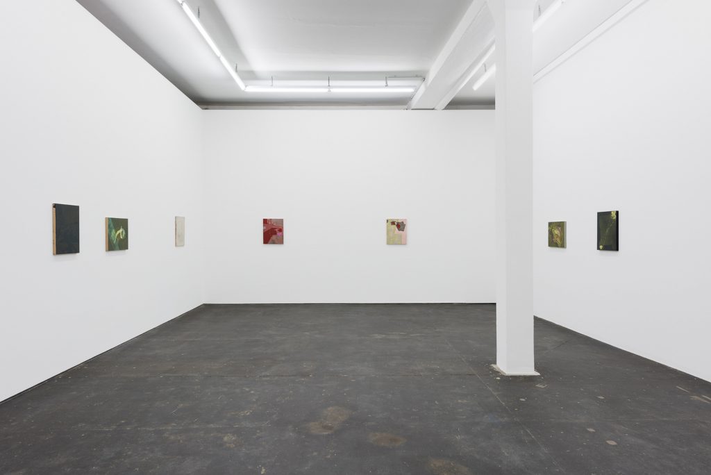 Iulia Nistor at Galeria Plan B – Art Viewer