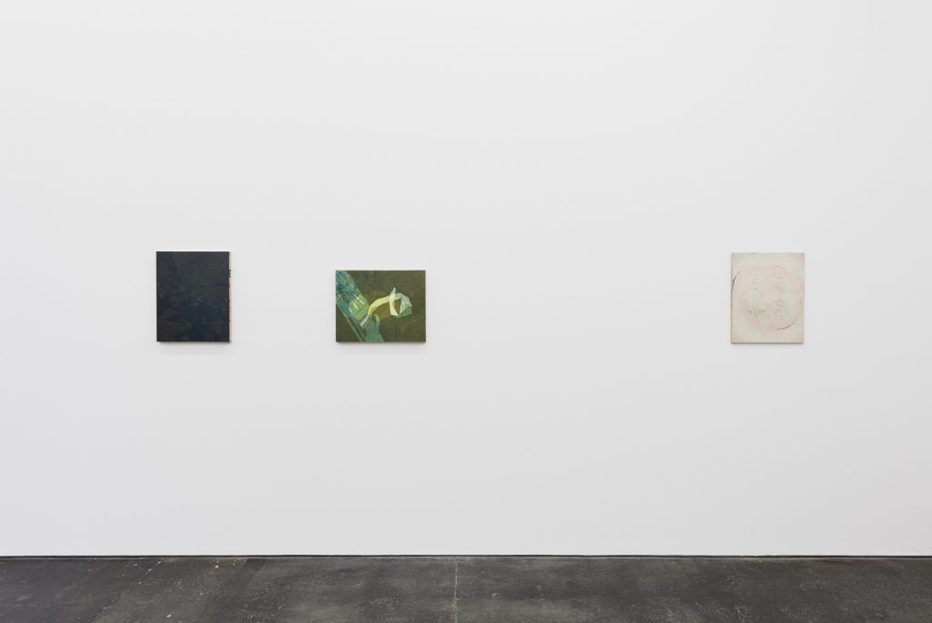Iulia Nistor at Galeria Plan B – Art Viewer