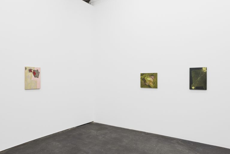 Iulia Nistor at Galeria Plan B – Art Viewer