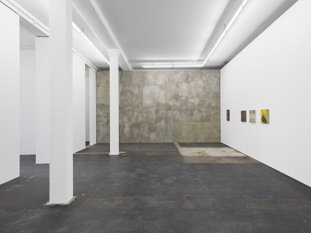 Iulia Nistor at Galeria Plan B – Art Viewer