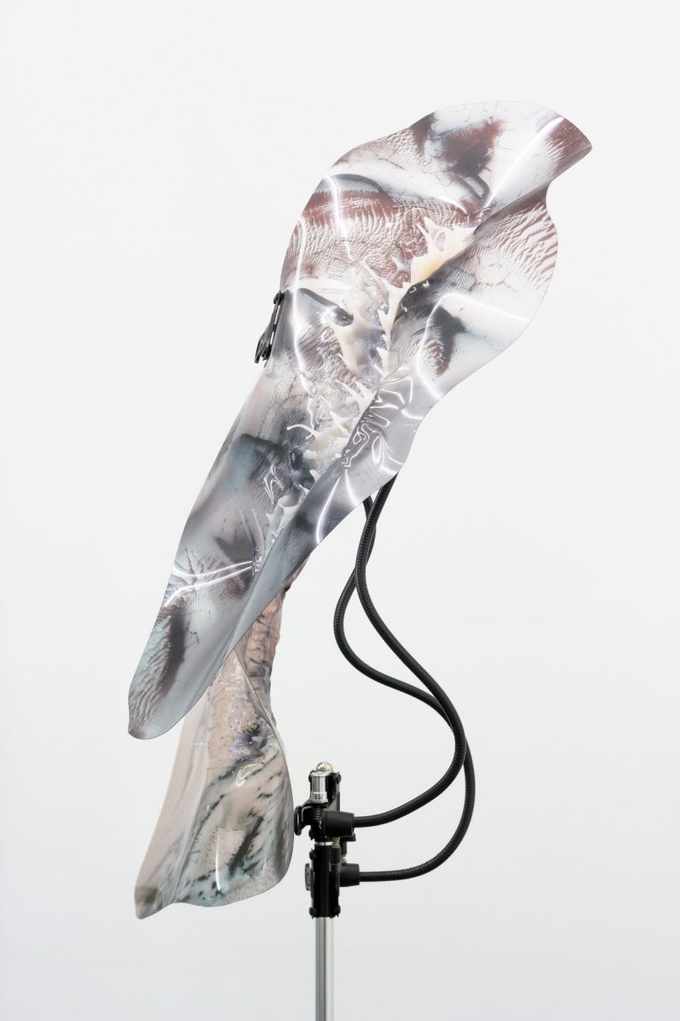 Pakui Hardware at EXILE – Art Viewer