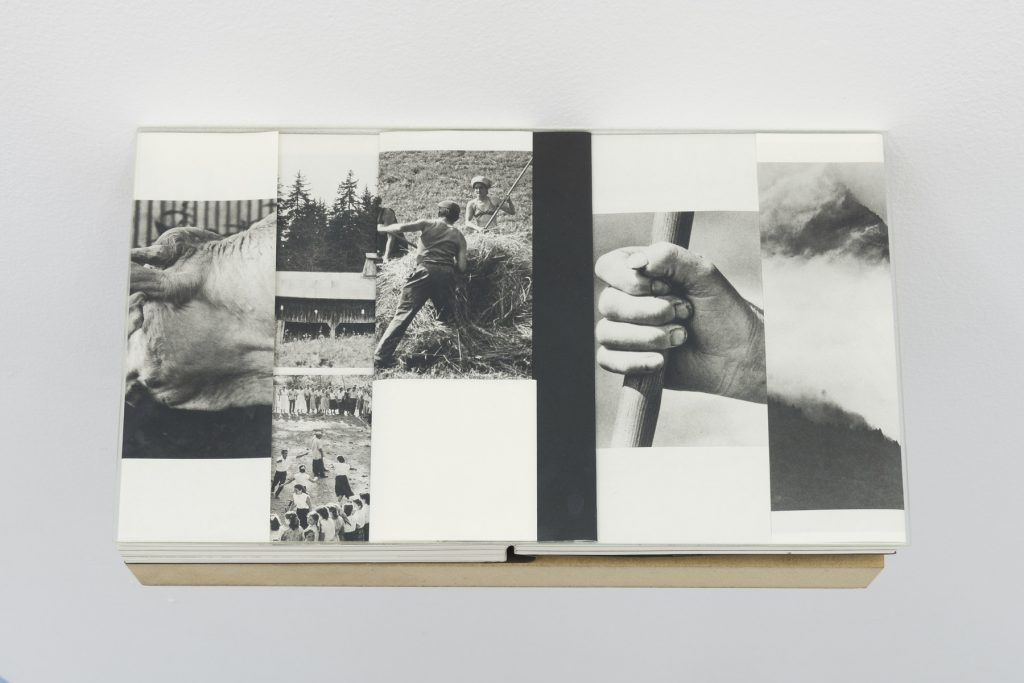 Javier Arce at The Goma – Art Viewer