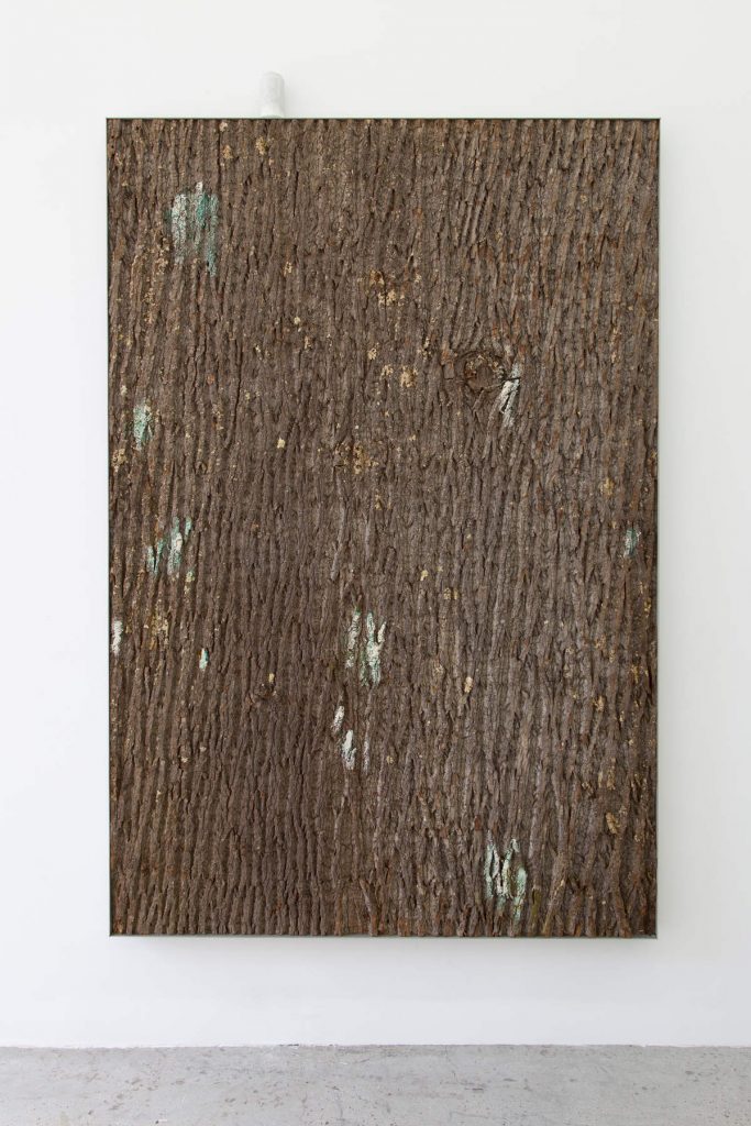 Nick van Woert at GRIMM – Art Viewer