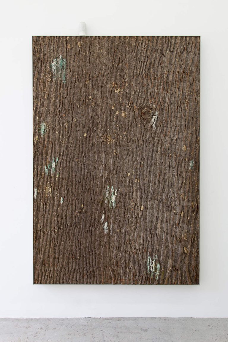 Nick van Woert at GRIMM – Art Viewer