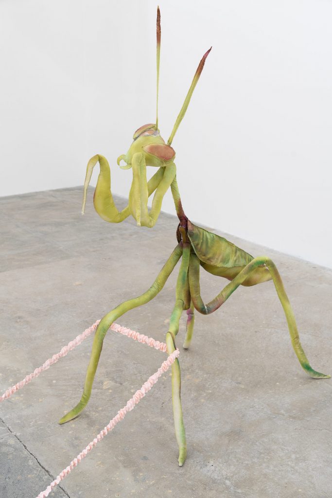 METAMORPHOSIS at SVIT – Art Viewer