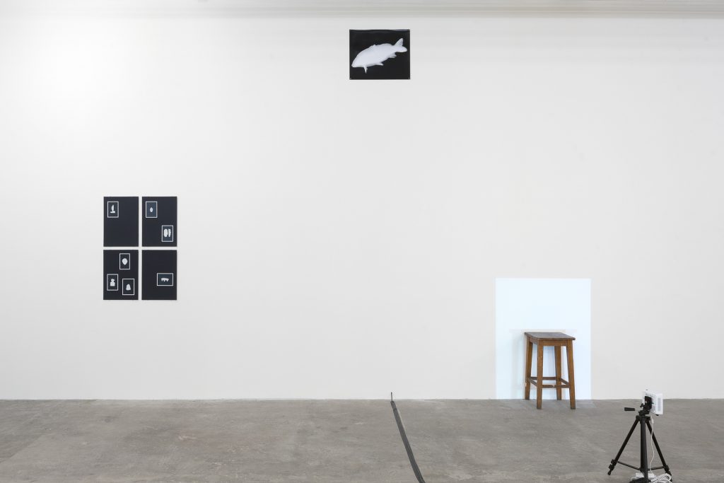 Absolute Beginners at SVIT – Art Viewer