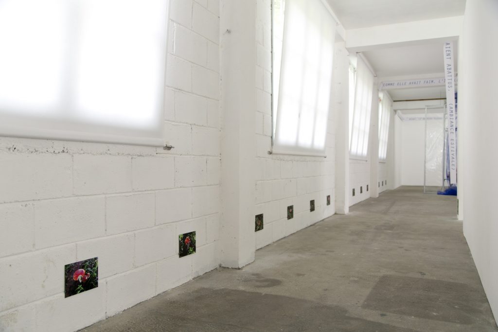 Entangling Matter and Meaning at Treignac Projet – Art Viewer