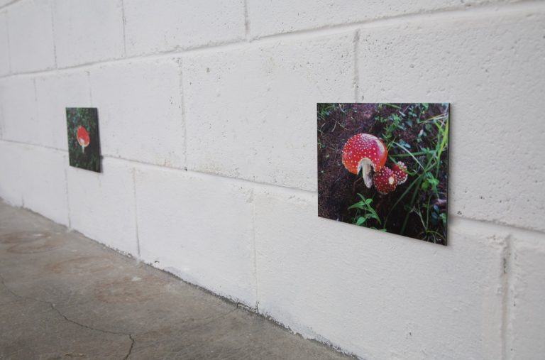 Entangling Matter and Meaning at Treignac Projet – Art Viewer