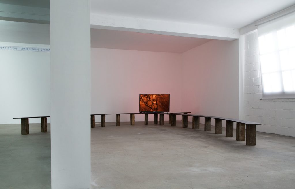 Entangling Matter and Meaning at Treignac Projet – Art Viewer