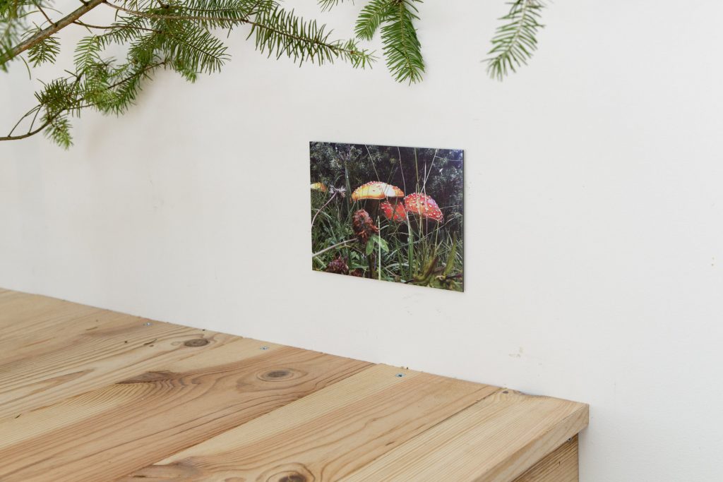 Entangling Matter and Meaning at Treignac Projet – Art Viewer