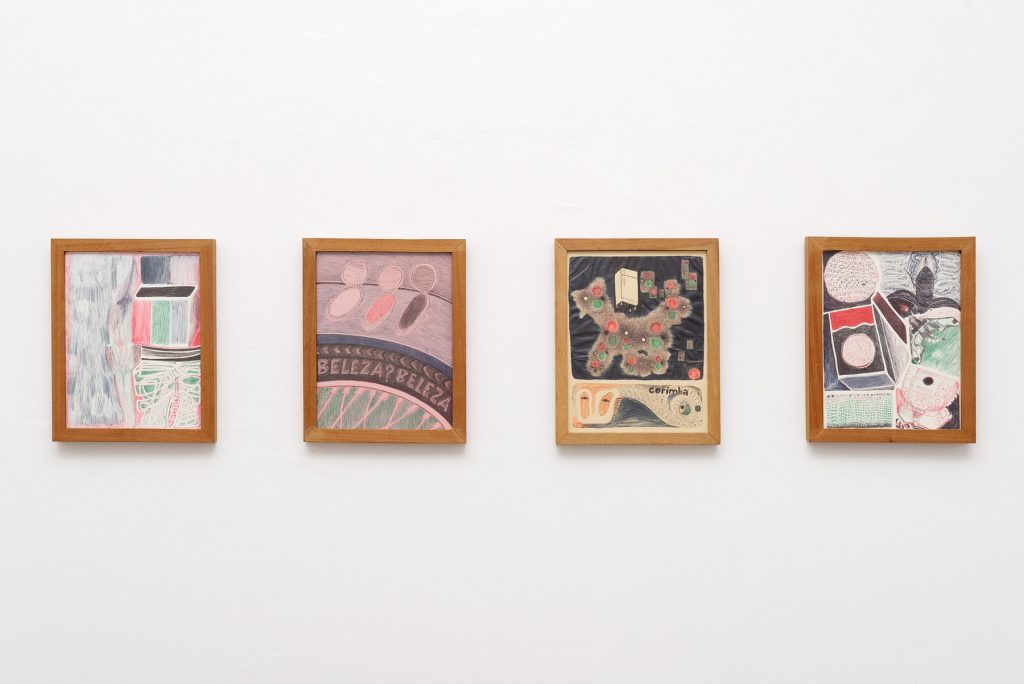 Jarbas Lopes at CRAC Alsace – Art Viewer
