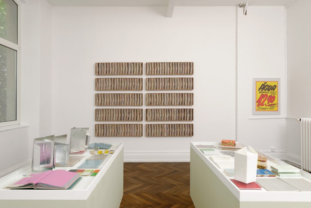 Jarbas Lopes at CRAC Alsace – Art Viewer