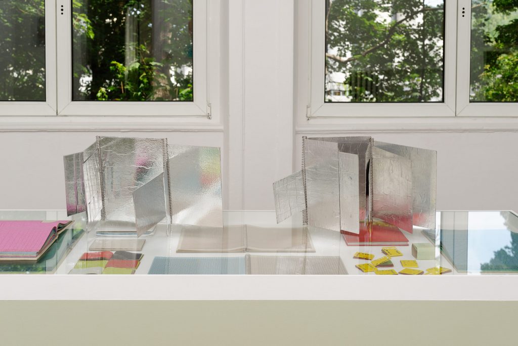 Jarbas Lopes at CRAC Alsace – Art Viewer