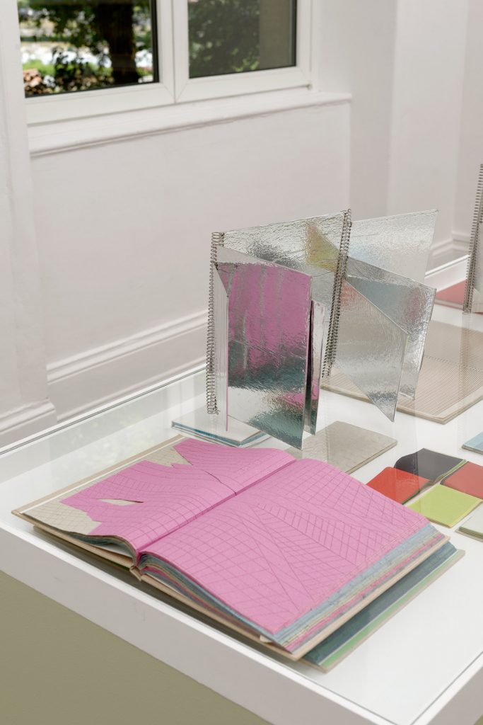 Jarbas Lopes at CRAC Alsace – Art Viewer