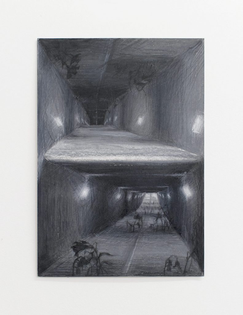 Viktor Timofeev at Sydney – Art Viewer