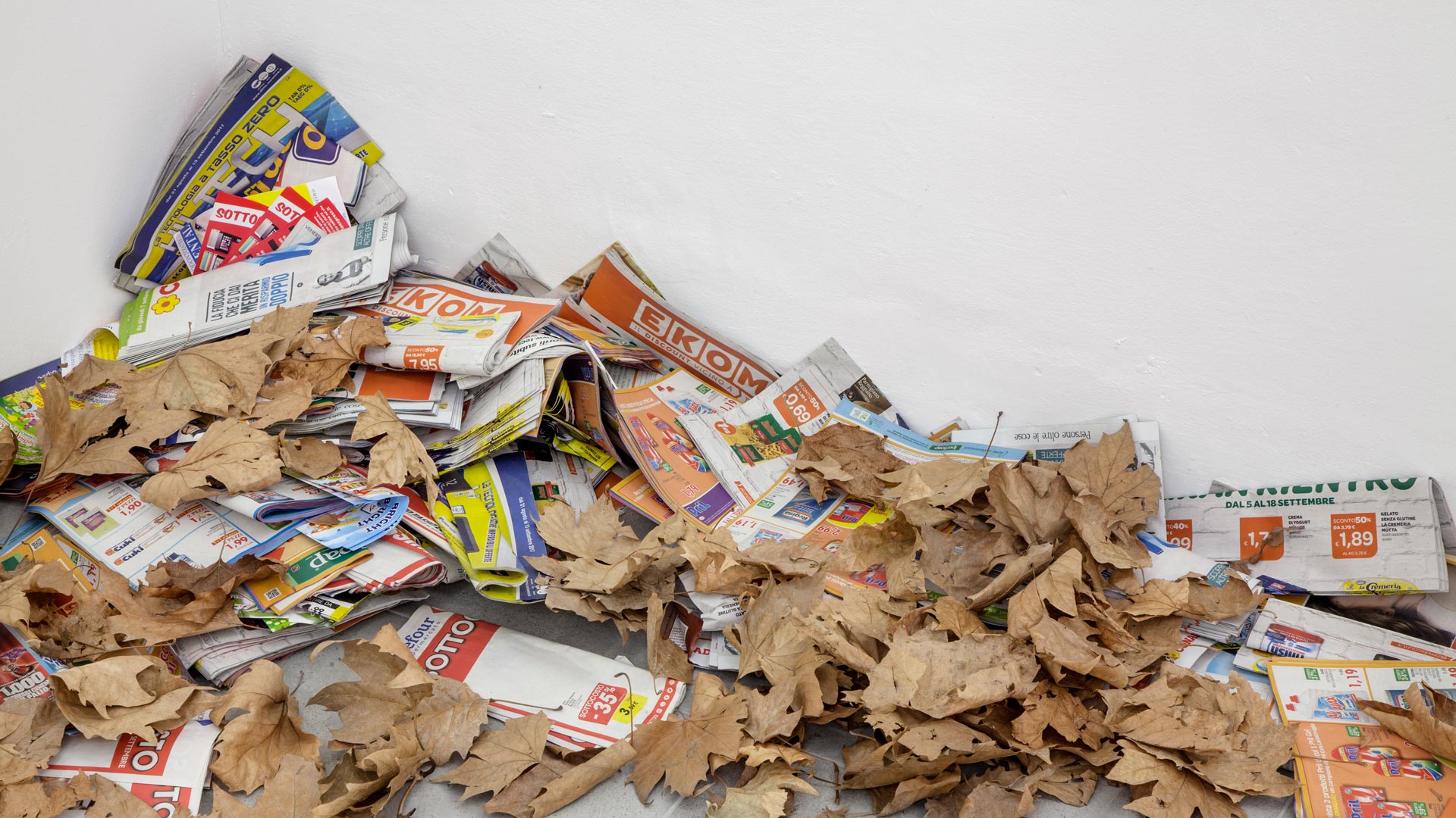 Ruth Angel Edwards at Almanac Inn – Art Viewer