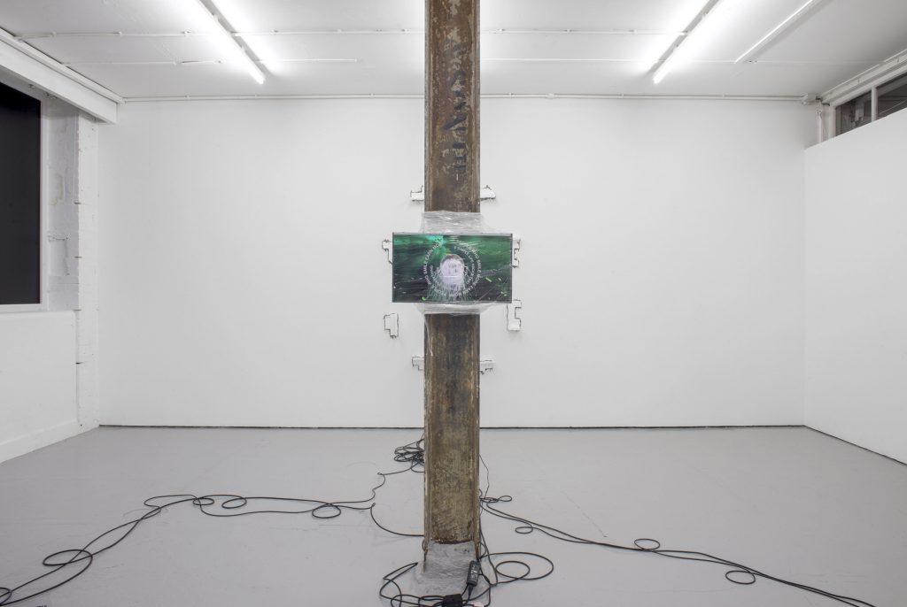 Christopher MacInnes at David Dale Gallery – Art Viewer