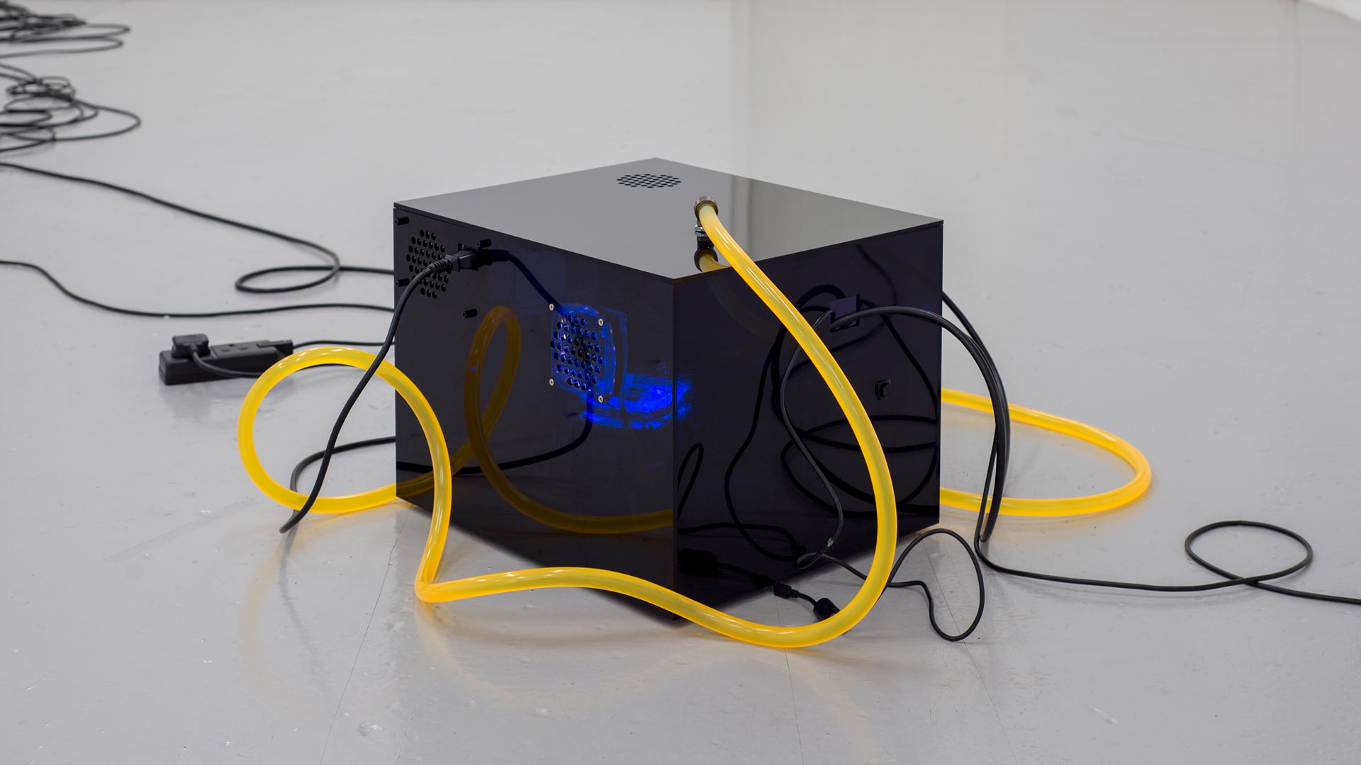 Christopher MacInnes at David Dale Gallery – Art Viewer
