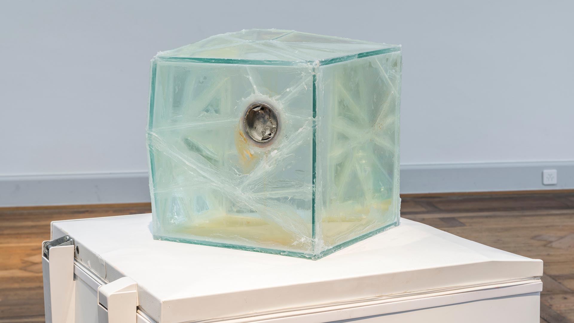 Stian Eide Kluge – Art Viewer