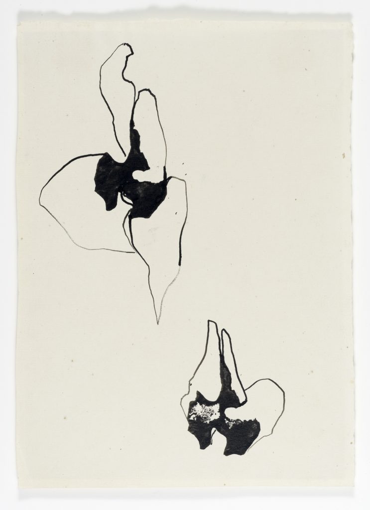 Alina Szapocznikow at The Hepworth Wakefield – Art Viewer