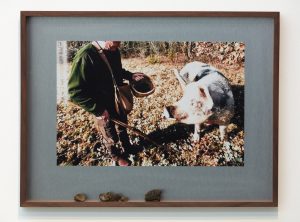 George Egerton-Warburton at Château Shatto – Art Viewer