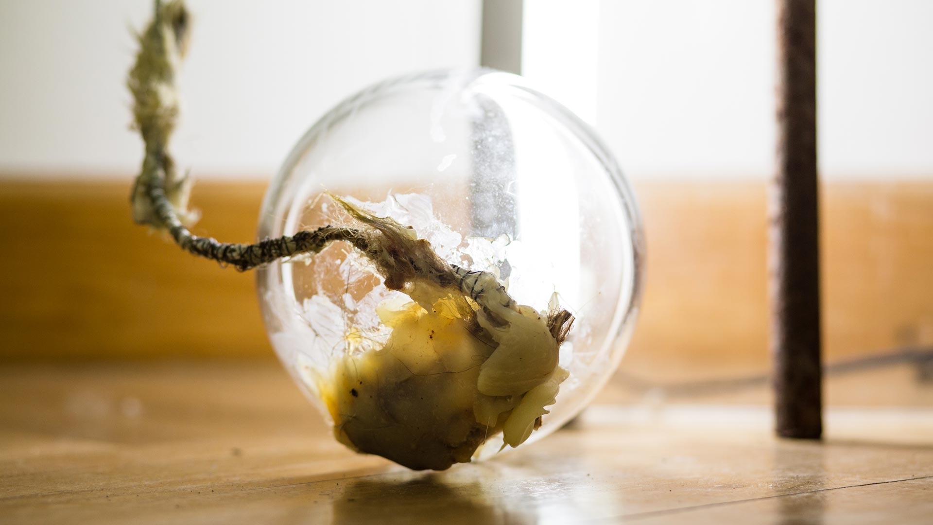 TARWUK at Museum of Fine Arts Osijek – Art Viewer