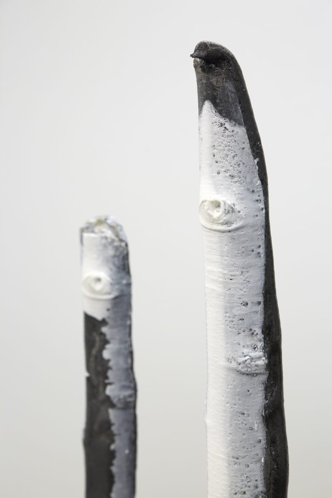 Andrea Zucchini at Jupiter Woods – Art Viewer