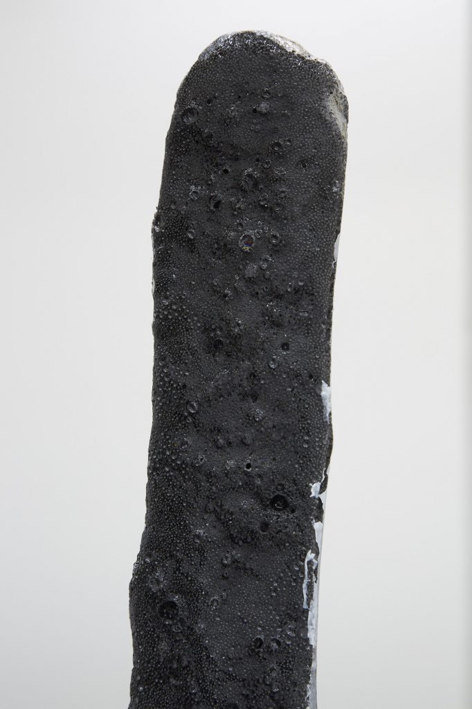 Andrea Zucchini at Jupiter Woods – Art Viewer