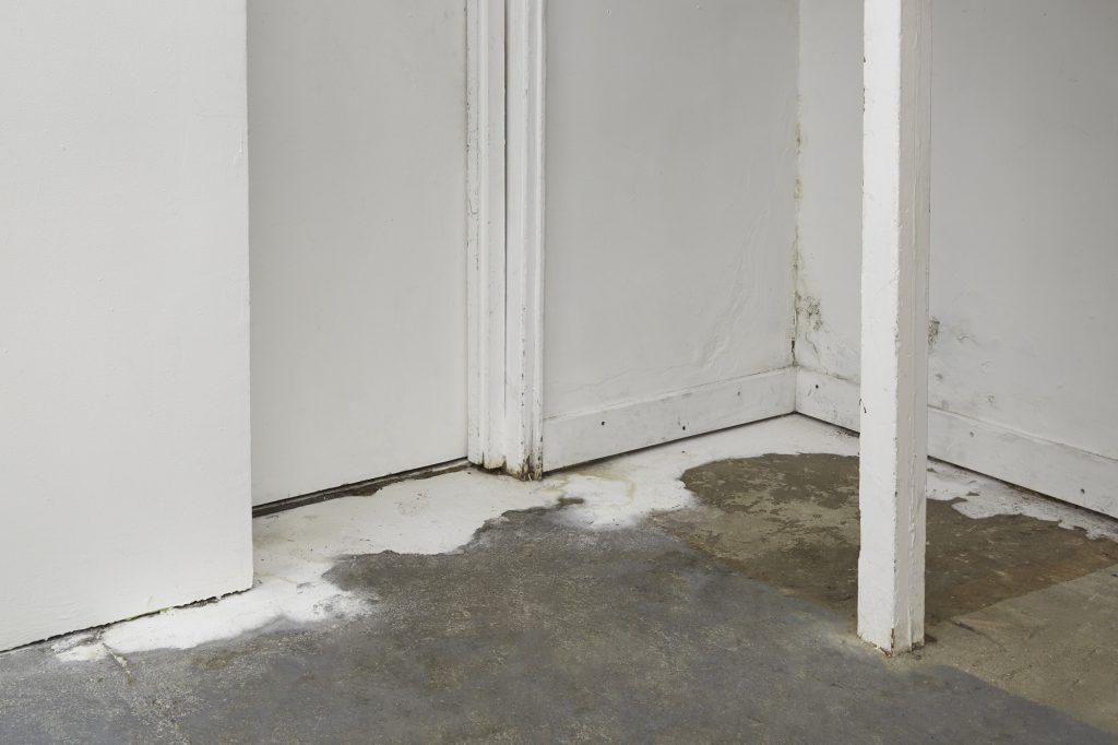 Andrea Zucchini at Jupiter Woods – Art Viewer