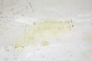 Andrea Zucchini at Jupiter Woods – Art Viewer