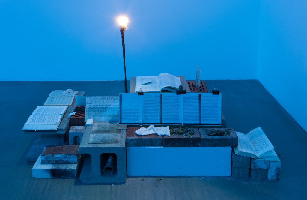 Candice Lin at Portikus – Art Viewer