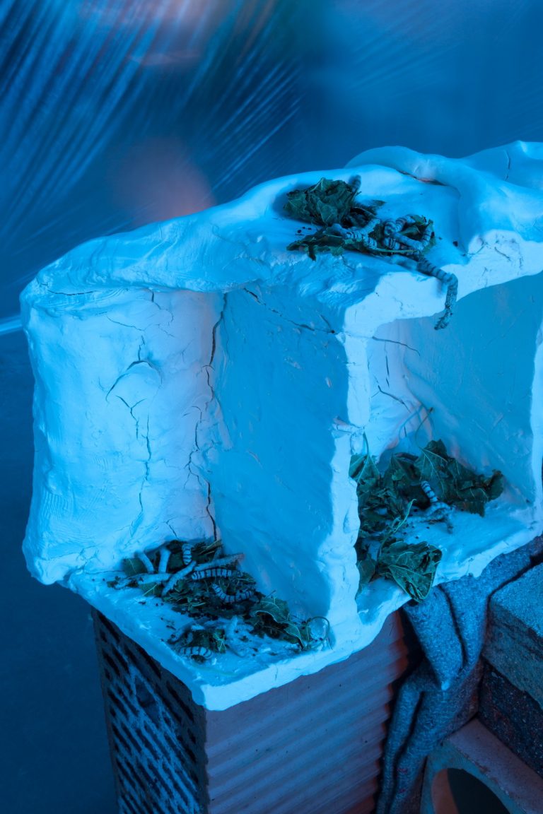 Candice Lin at Portikus – Art Viewer