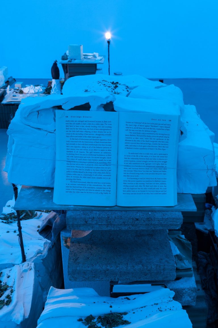 Candice Lin – Art Viewer